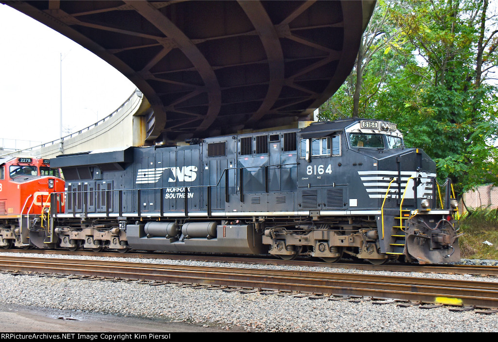 NS 8164
